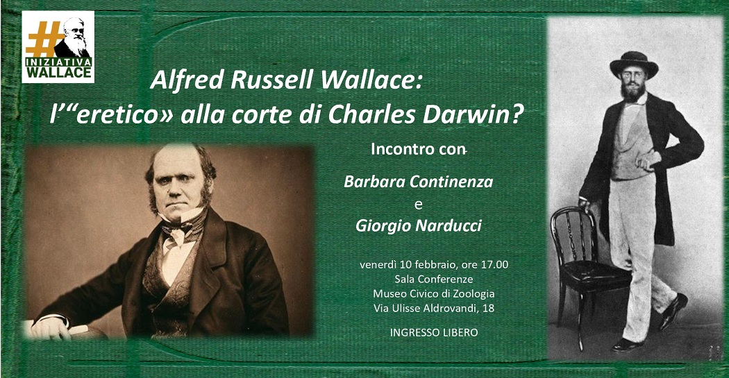 Alfred Russell Wallace: l’eretico alla corte di Charles Darwin? | Museo Civico di Zoologia